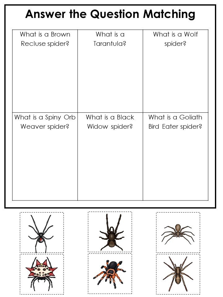 30 Spiders Printable Preschool Educational Games Download. | Etsy