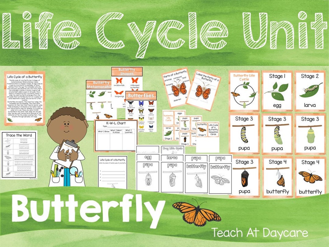 Life Cycle of a Butterfly Science Curriculum Unit. Worksheets ...