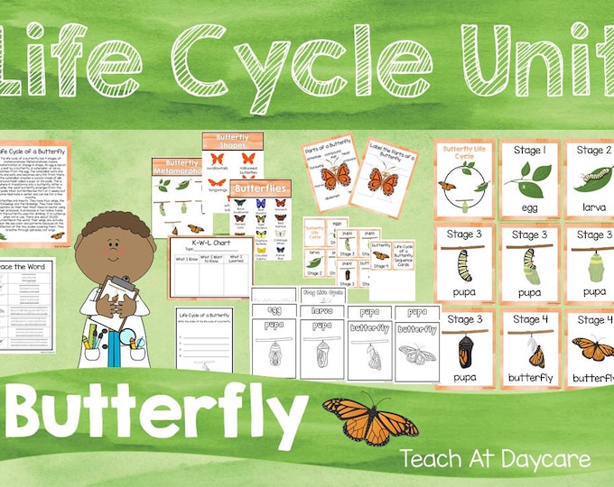 Life Cycle of a Butterfly Educational Craft & Research Report - Etsy Canada