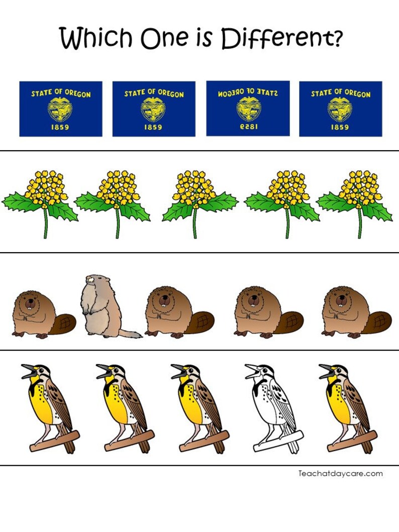 30 Oregon State Symbols Themed Learning Games Download. ZIP | Etsy