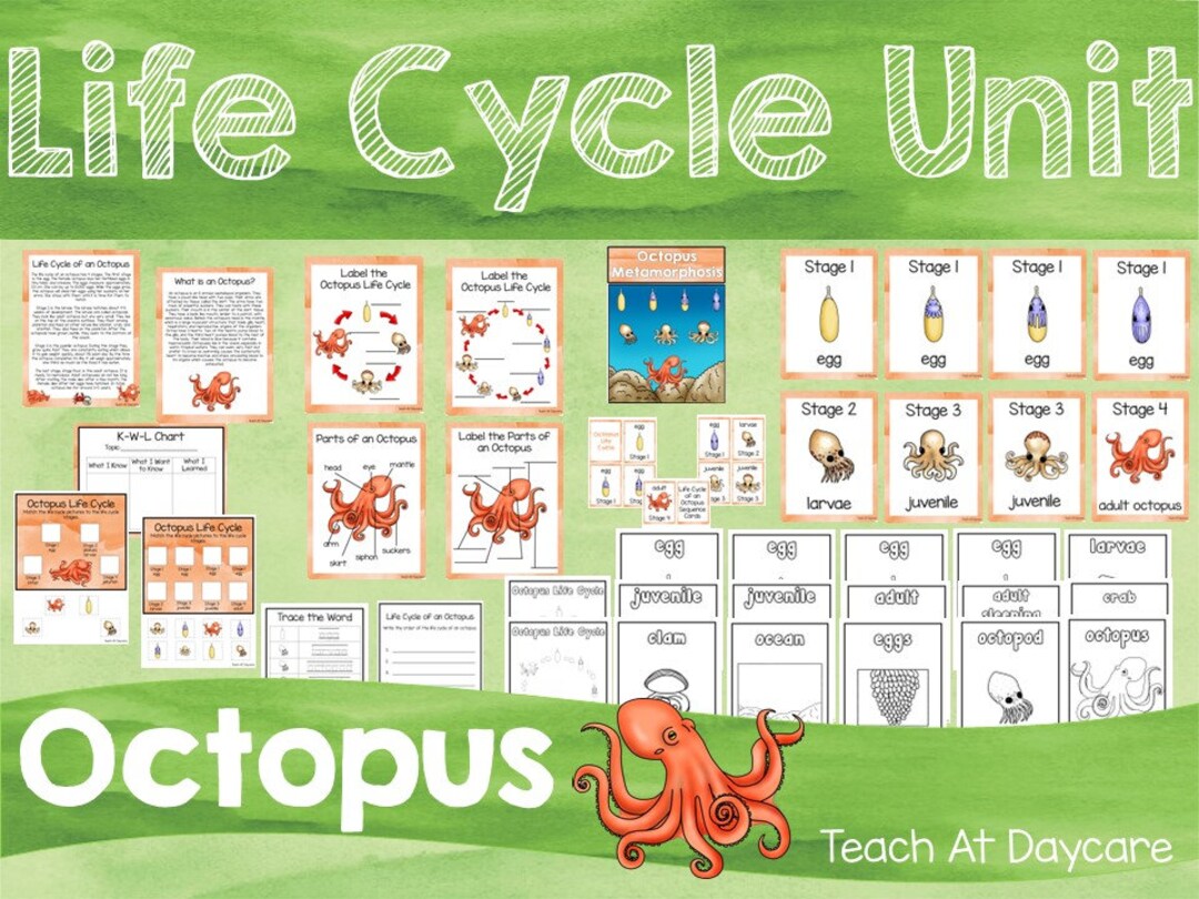 Life Cycle of an Octopus Science Curriculum Unit. Worksheets ...