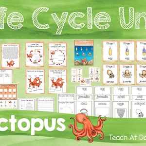 Life Cycle of an Octopus Science Curriculum Unit. Worksheets ...