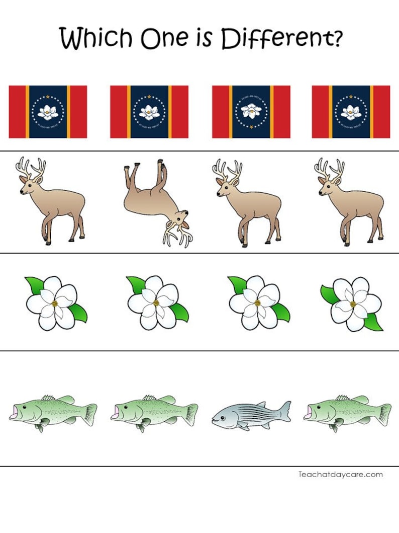 30 Mississippi State Symbols Themed Learning Games Download. | Etsy