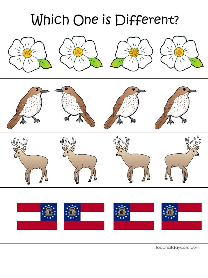 30 Georgia State Symbols Themed Learning Games Download. ZIP | Etsy