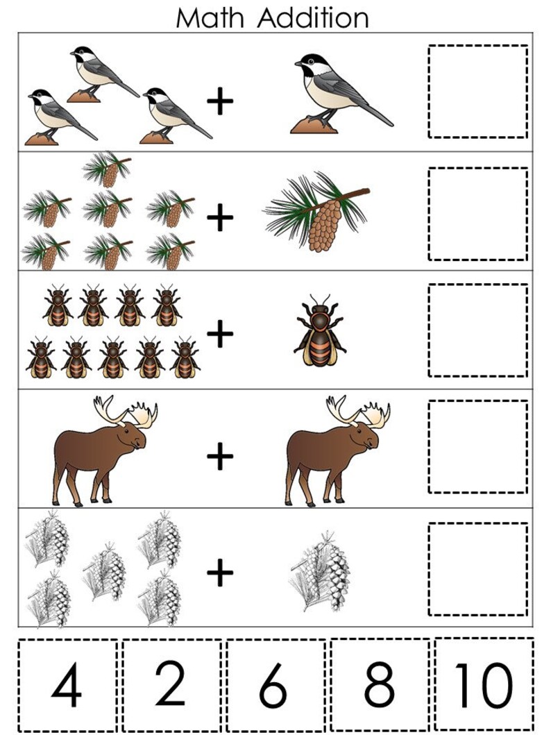 30 Maine State Symbols Themed Learning Games Download. ZIP | Etsy