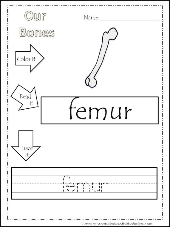 20 Our Bones Printable Worksheets. Color Read Trace. | Etsy