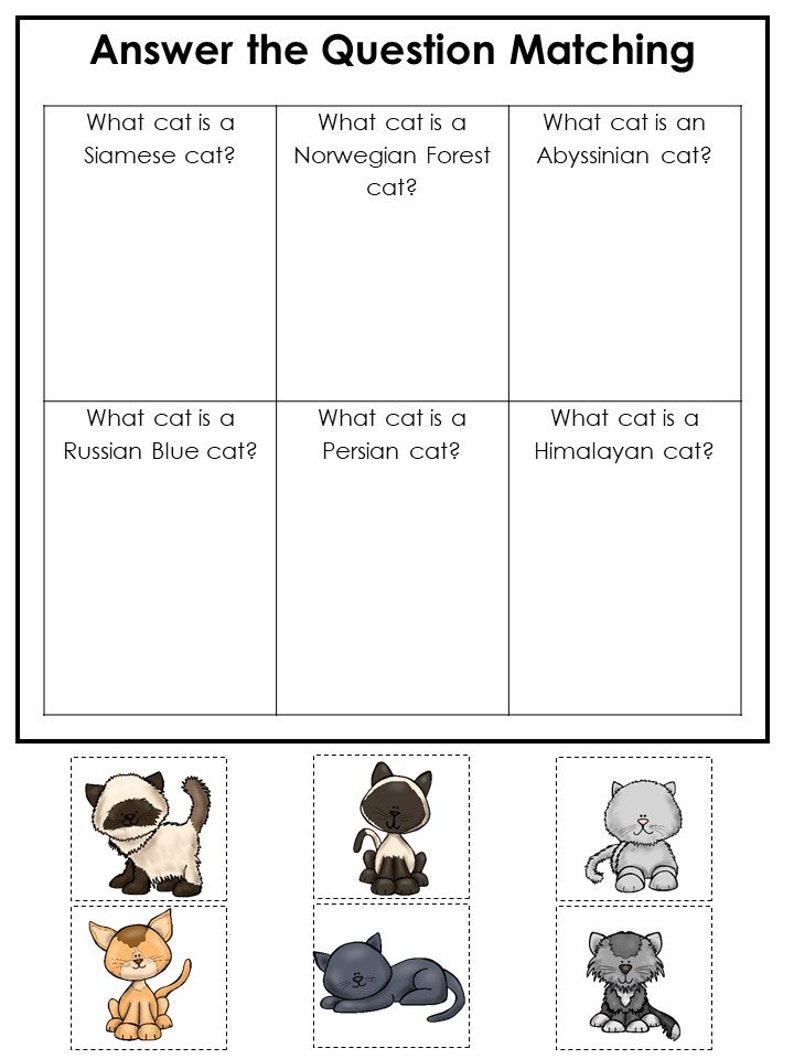 30 Printable Cats Preschool Educational Games Download. Games - Etsy