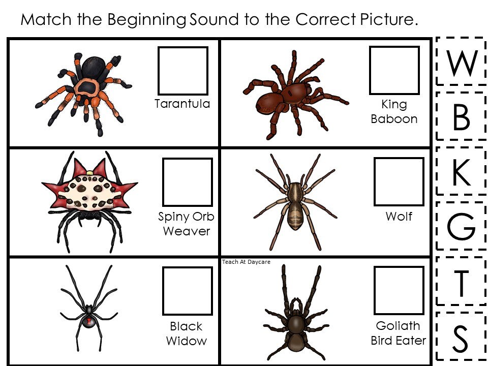 30 Spiders Printable Preschool Educational Games Download. | Etsy