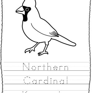50 Printable State Birds Color Worksheets. Preschool and Kindergarten ...