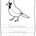 50 Printable State Birds Color Worksheets. Preschool and Kindergarten ...