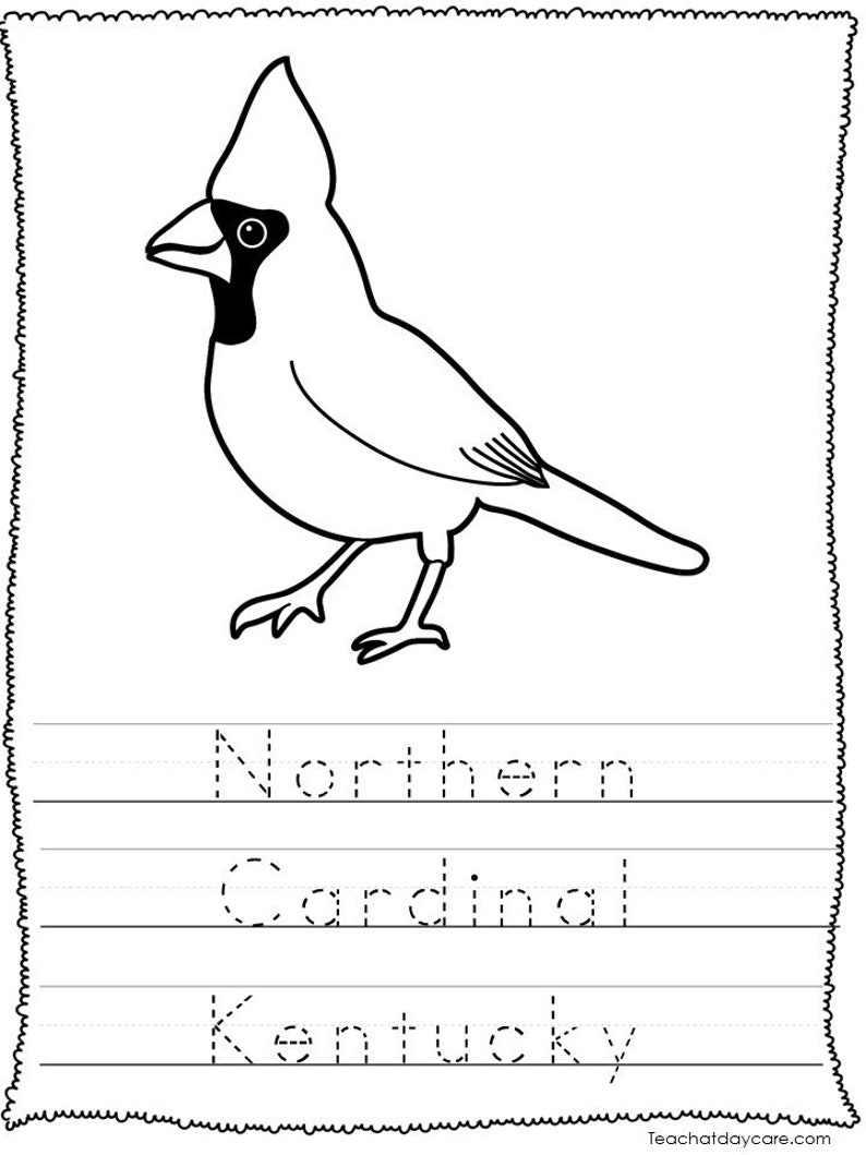 50 Printable State Birds Color Worksheets. Preschool and | Etsy
