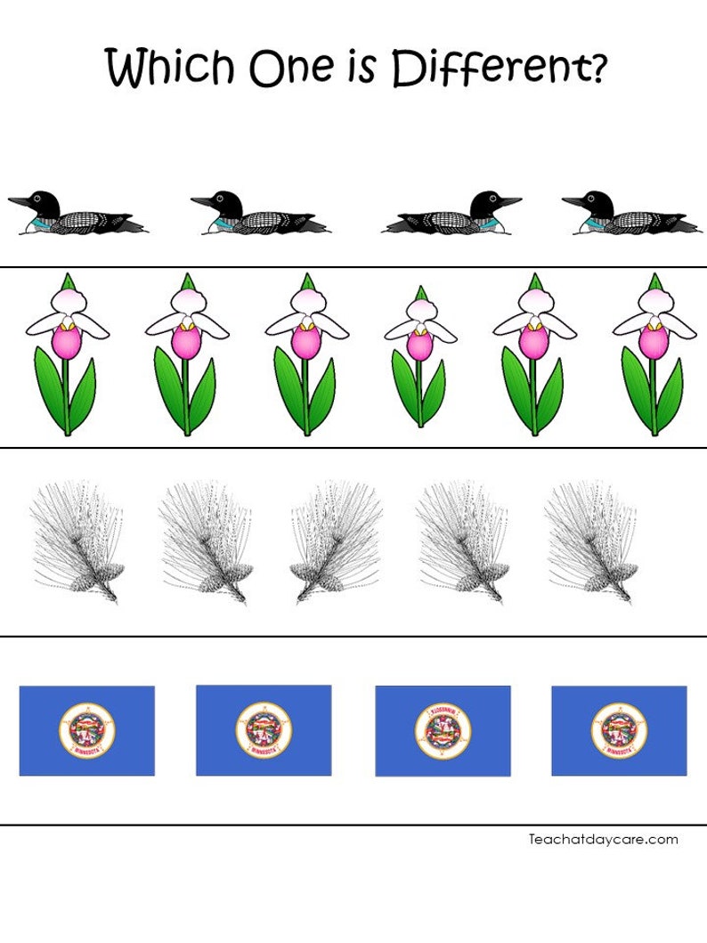 30 Minnesota State Symbols Themed Learning Games Download. ZIP - Etsy