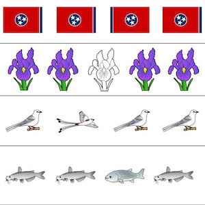 30 Tennessee State Symbols Themed Learning Games Download. ZIP File ...