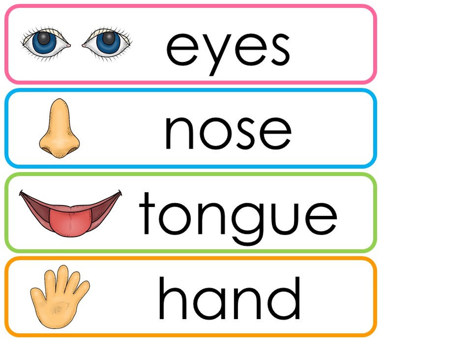 Our Five Senses Single Week Themed Word Wall Set. Classroom - Etsy