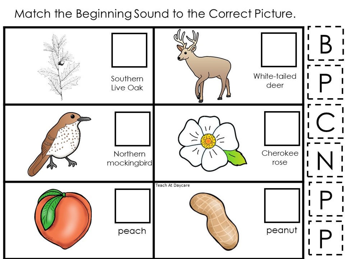 30 Georgia State Symbols themed Learning Games Download. ZIP | Etsy