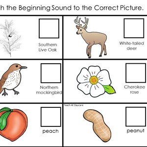 30 Georgia State Symbols Themed Learning Games Download. ZIP - Etsy