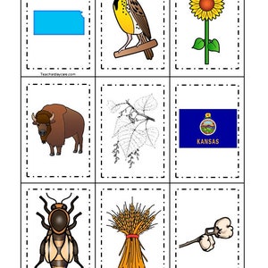 30 Kansas State Symbols Themed Learning Games Download. ZIP File ...