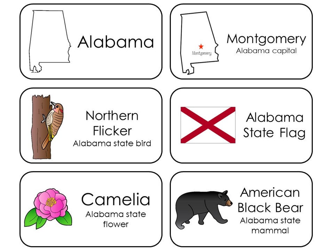 300 State Symbols Printable Flashcards. State, Capital, Flower, Mammal ...