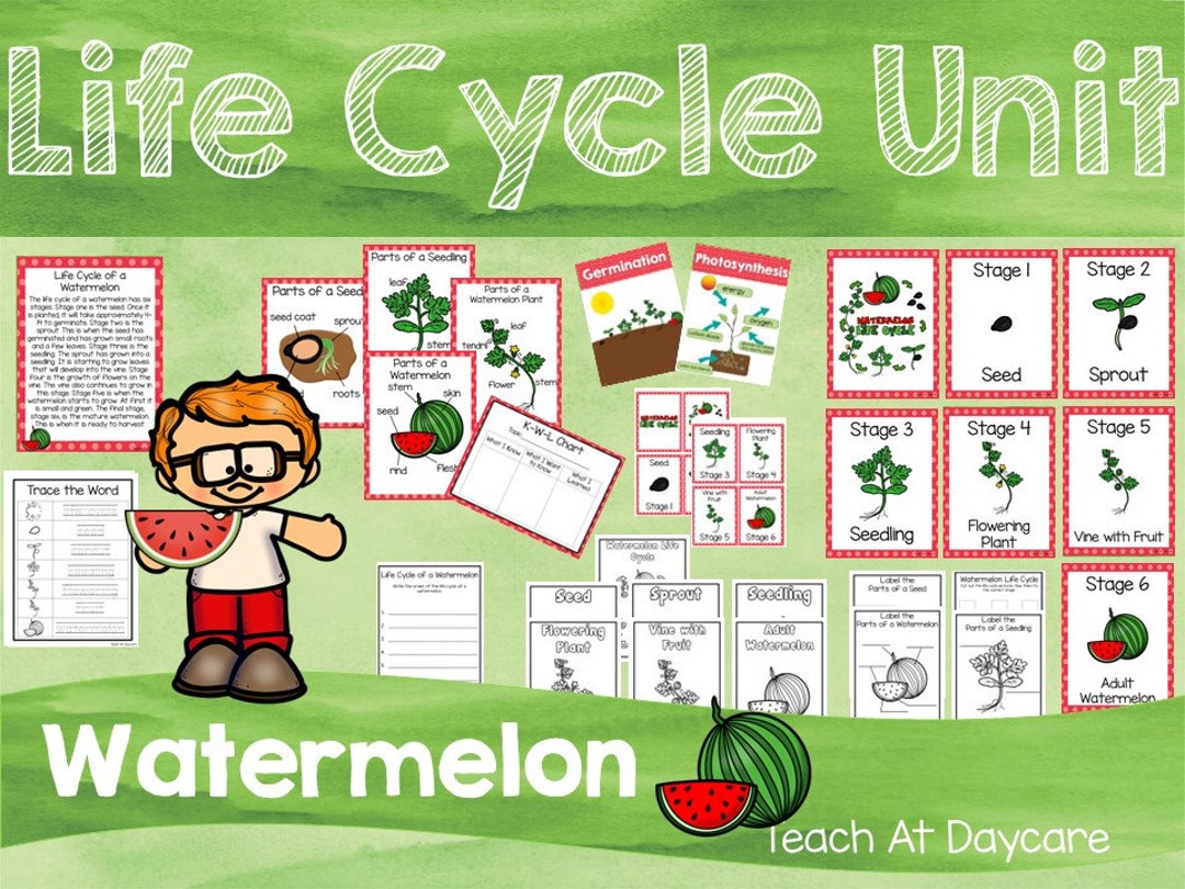 Life Cycle of a Watermelon Science Curriculum Unit. Worksheets ...