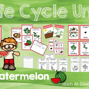 Life Cycle of a Watermelon Science Curriculum Unit. Worksheets ...
