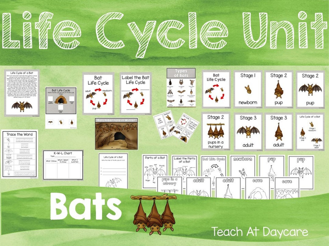 Life Cycle of a Bat Science Curriculum Unit. Worksheets, Activities ...