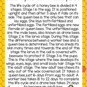 Life Cycle of a Honey Bee Science Curriculum Unit. Worksheets ...