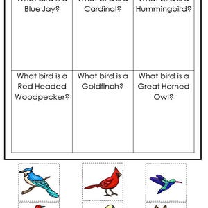 30 Printable Preschool Birds Learning Games Download. Games and Activities in PDF Files. - Etsy