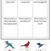 30 Printable Preschool Birds Learning Games Download. Games and ...