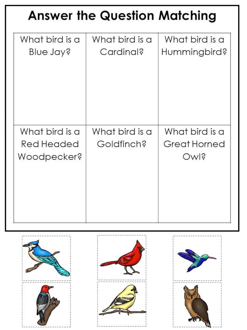 30 Printable Preschool Birds Learning Games Download. Games | Etsy