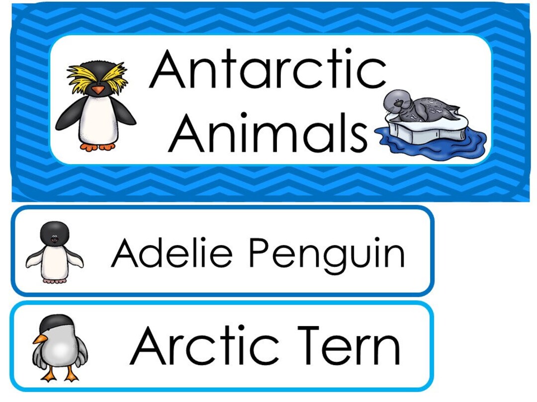 Antarctic Animals Single Week Themed Word Wall Set. Classroom Bulletin ...