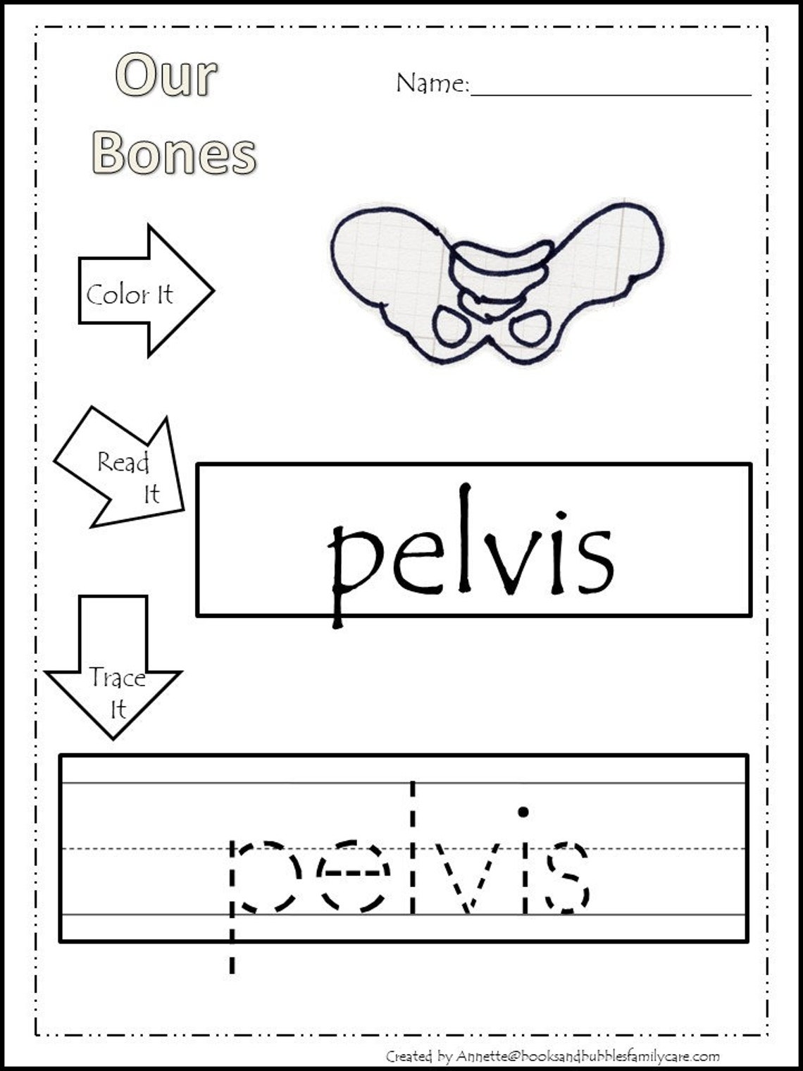 20 Our Bones Printable Worksheets. Color Read Trace. | Etsy