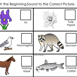 30 Tennessee State Symbols Themed Learning Games Download. ZIP File ...