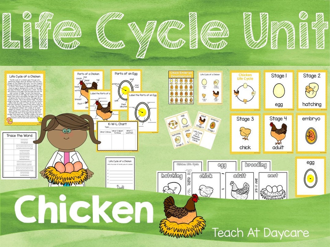 Life Cycle of a Chicken Science Curriculum Unit. Worksheets, Activities ...