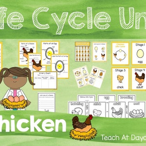 Life Cycle of a Chicken Science Curriculum Unit. Worksheets, Activities ...