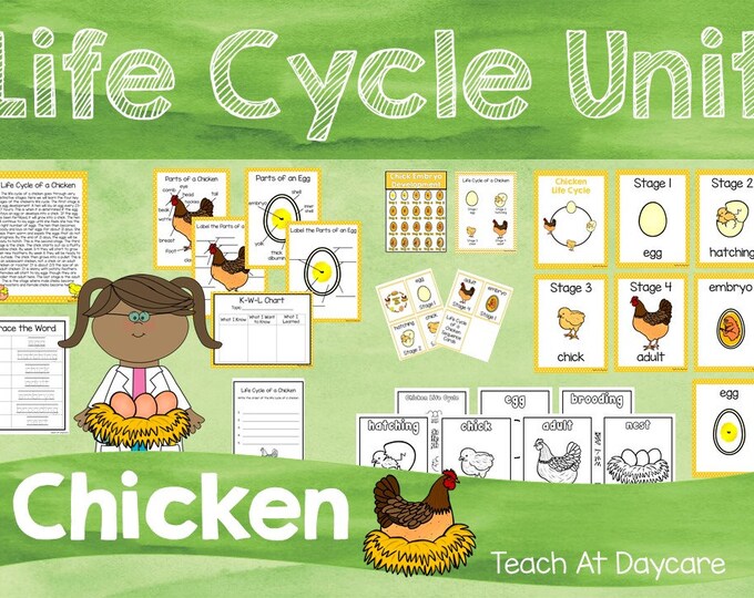 Foldable Chicken Life Cycle Learning Activity for Kids | A4 and 11x8.5 ...