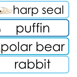 Arctic Animals Single Week Themed Word Wall Set. Classroom Bulletin ...