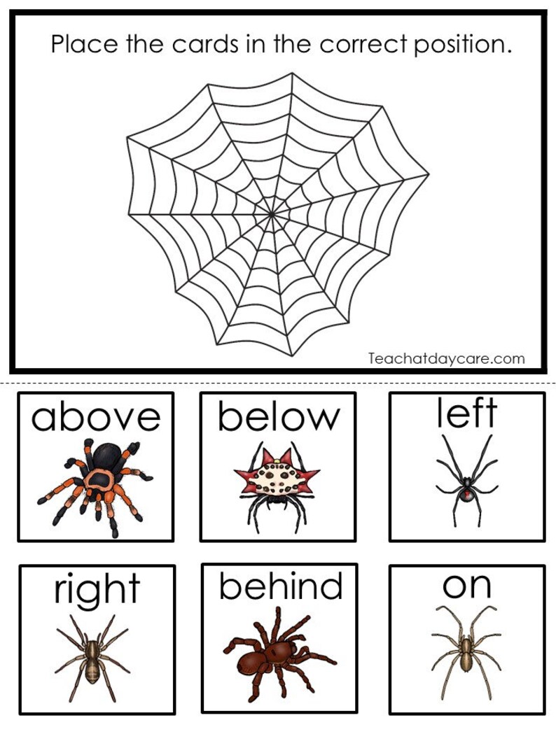 30 Spiders Printable Preschool Educational Games Download. | Etsy
