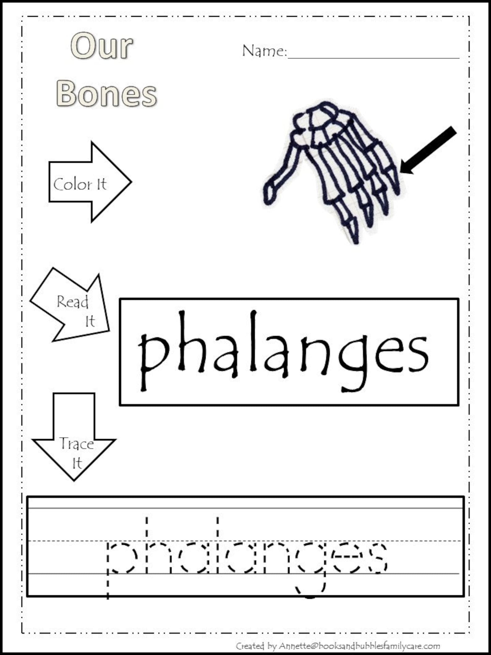 20 Our Bones Printable Worksheets. Color, Read, Trace. Preschool and ...