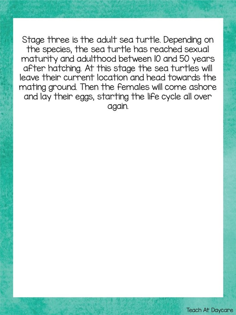 Life Cycle of a Sea Turtle Science Curriculum Unit. Worksheets ...