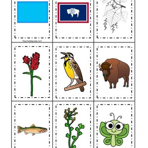 30 Wyoming State Symbols Themed Learning Games Download. ZIP File ...