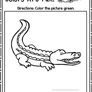 250 Preschool Learn Our Colors Worksheets Download. Preschool ...