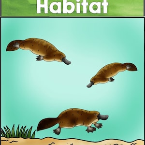 Life Cycle of a Platypus Science Curriculum Unit. Worksheets ...