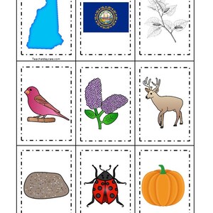30 New Hampshire State Symbols Themed Learning Games Download. ZIP File ...