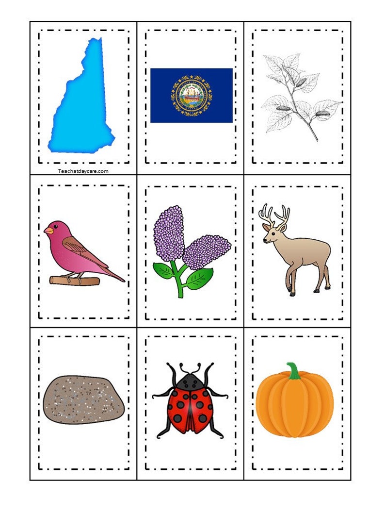 30 New Hampshire State Symbols Themed Learning Games Download. - Etsy