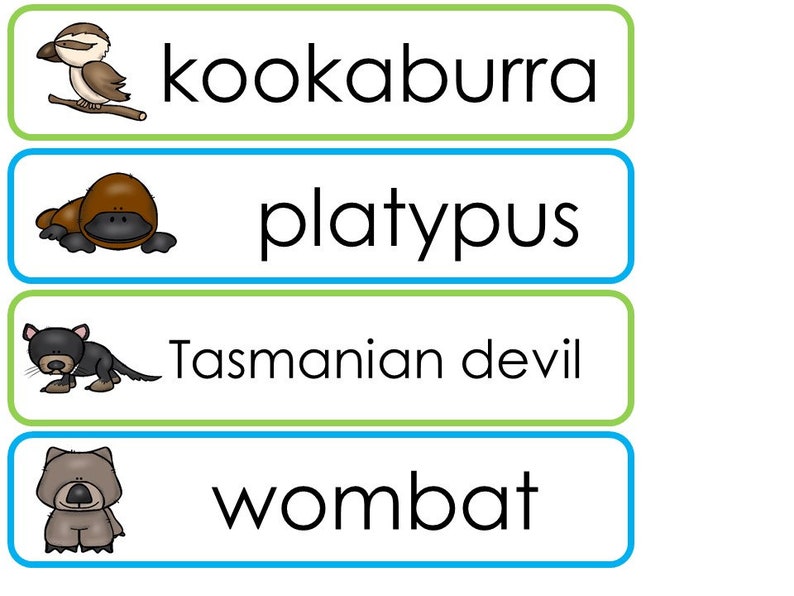Australian Animals Word Wall Cards, Preschool Classroom Decor (PDF ...