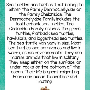 Life Cycle of a Sea Turtle Science Curriculum Unit. Worksheets ...
