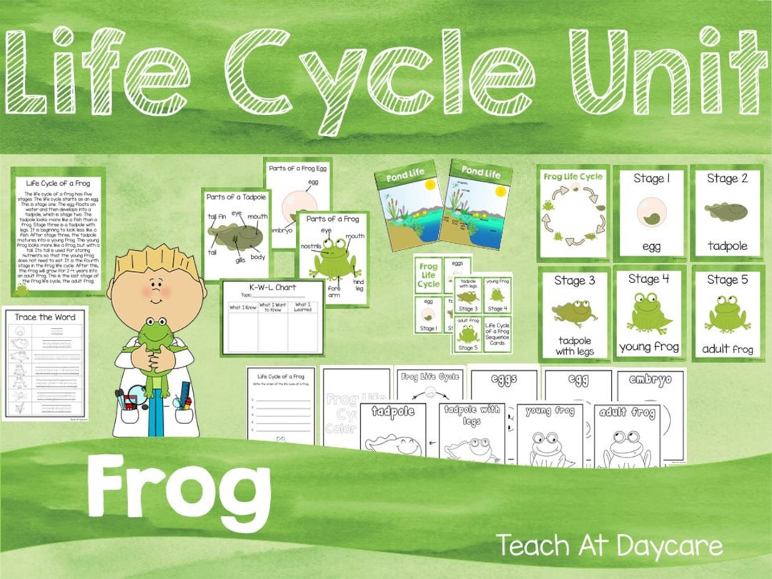Life Cycle of a Frog Science Curriculum Unit. Worksheets, Activities ...