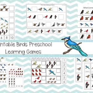 30 Printable Preschool Birds Learning Games Download. Games and ...