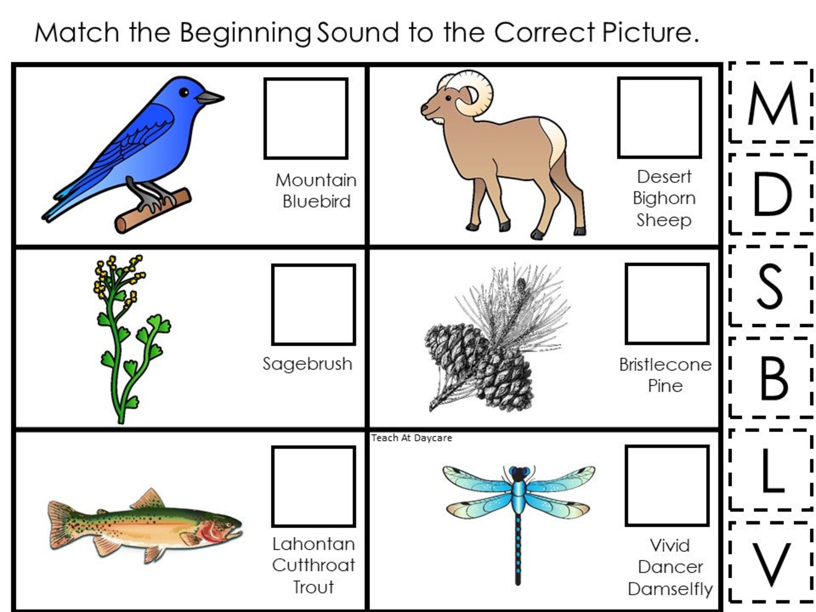 30 Nevada State Symbols Themed Learning Games Download. ZIP - Etsy