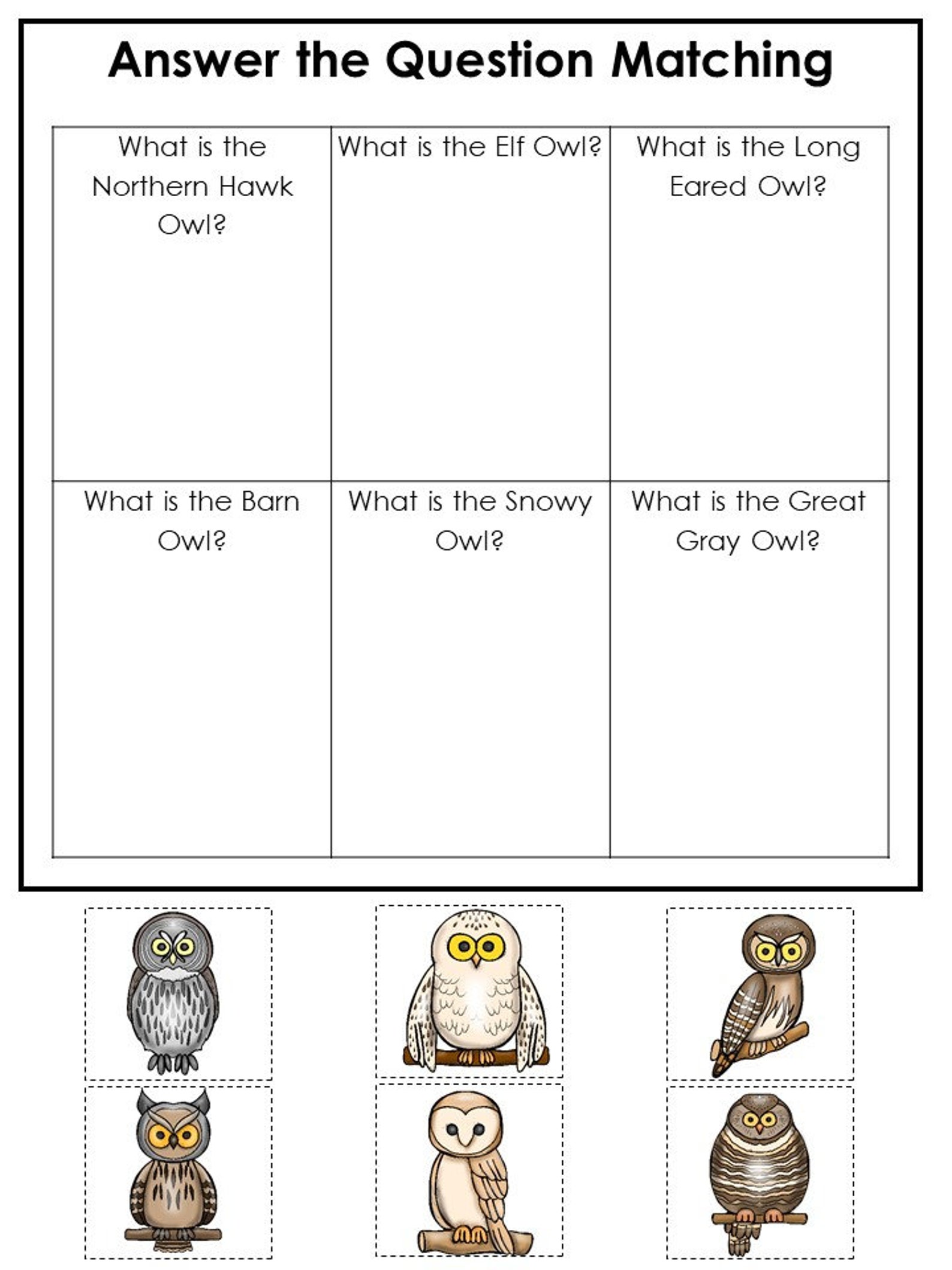 30 Types of Owls Printable Preschool Educational Games - Etsy